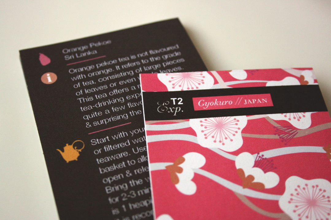 Student Spotlight: T2 Experience - DIELINE