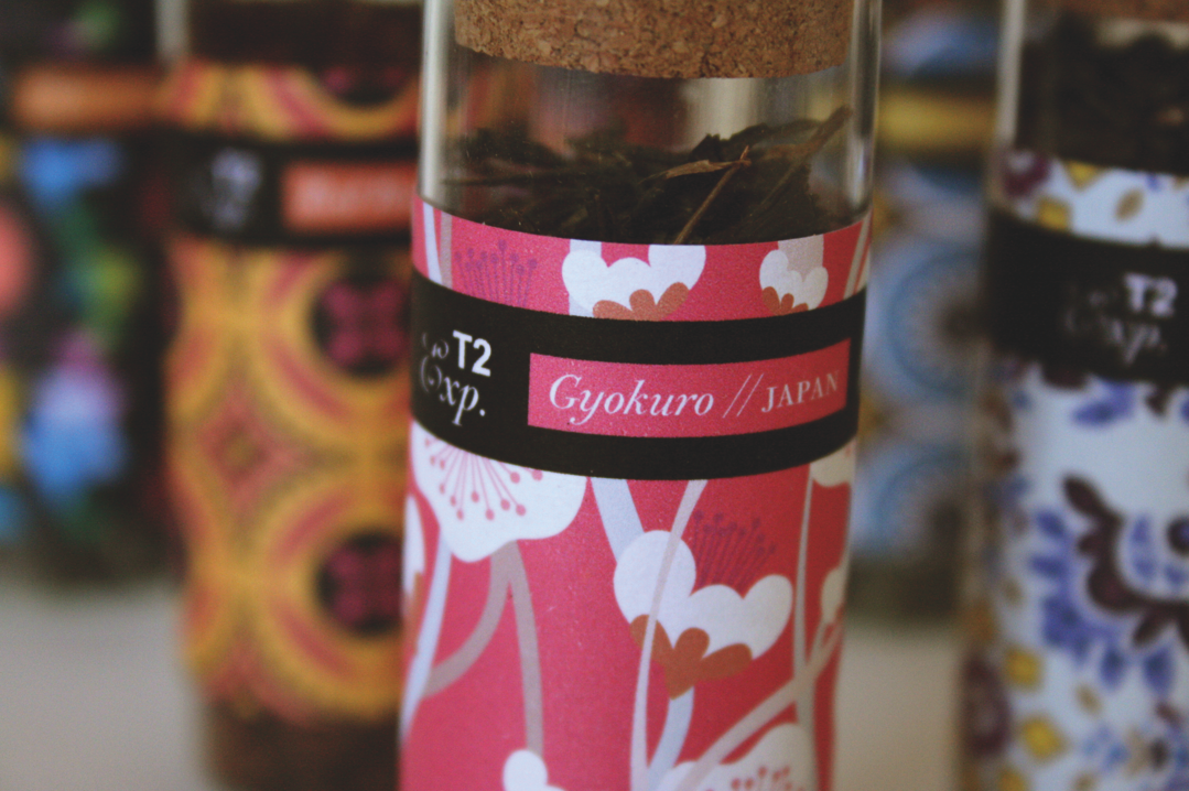 Student Spotlight: T2 Experience - DIELINE