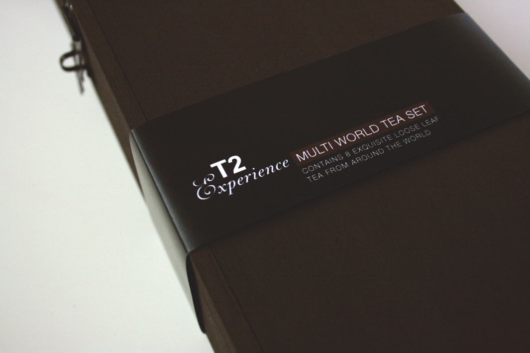 Student Spotlight: T2 Experience - DIELINE