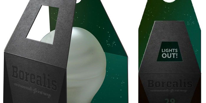 Student Spotlight: Borealis Light Bulbs - DIELINE