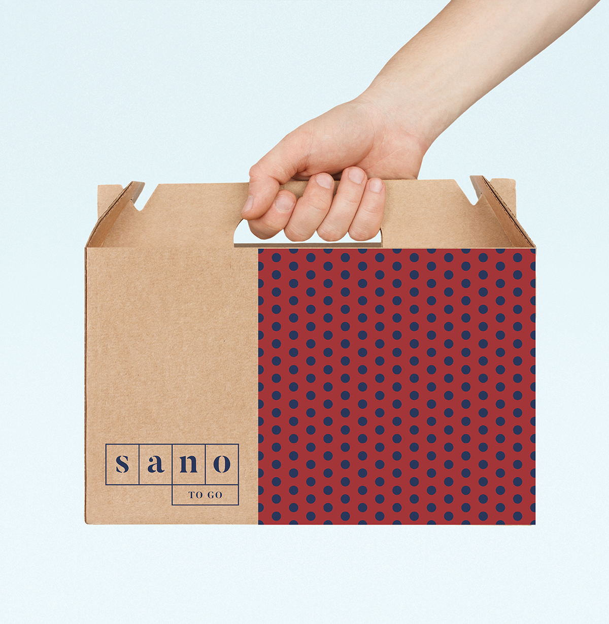 Sano Uses Nutritional Science To Change The Way We Eat - DIELINE