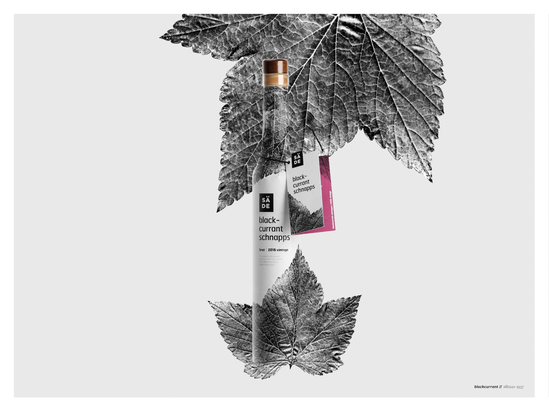 The Handcrafted Modern & Slender Design to Säde Schnapps - DIELINE