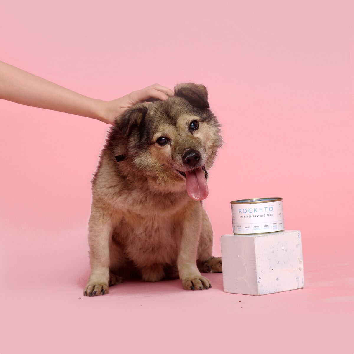 Let Doggo Eat in Style with this Elegantly Designed Dog Food Tins - DIELINE