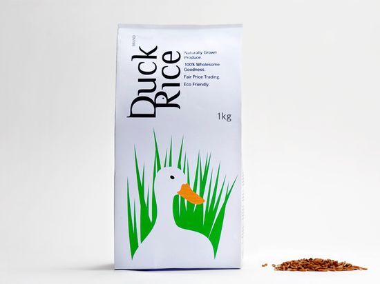 Duck Rice - DIELINE