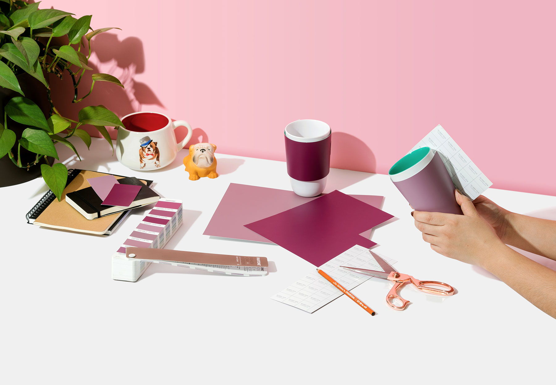 Pantone Releases New TPG Sheets - DIELINE