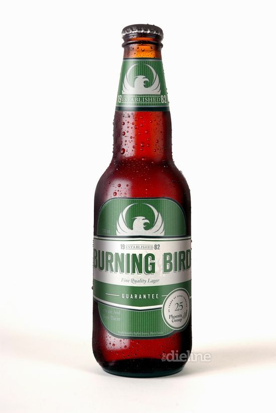 Burning Bird - DIELINE