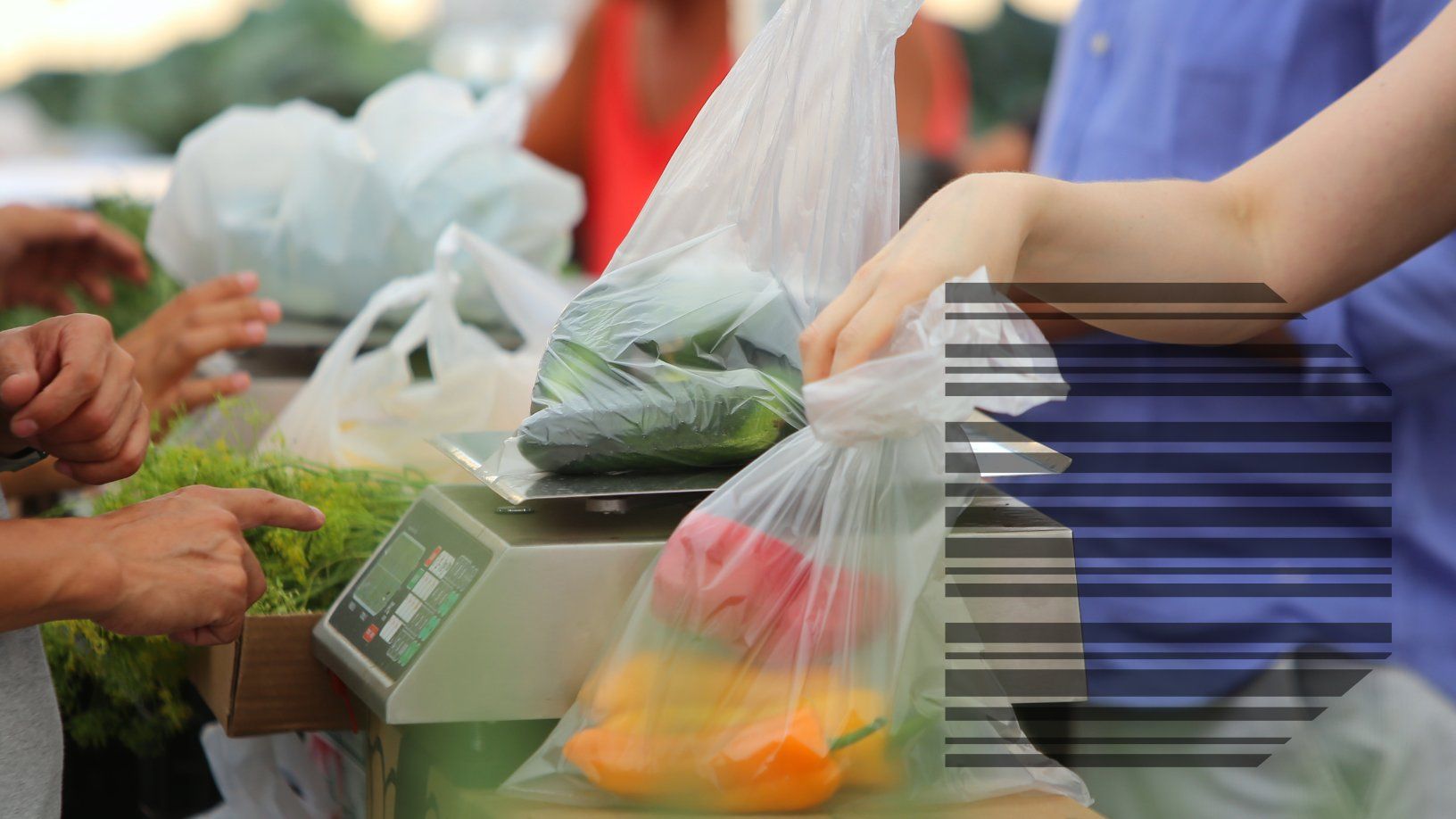 Banning Single-Use Plastic Bans - DIELINE