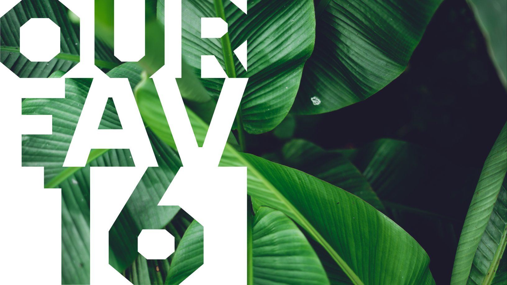 16 Tropical Packaging Designs To Help You Feel Like You're On Vacation ...