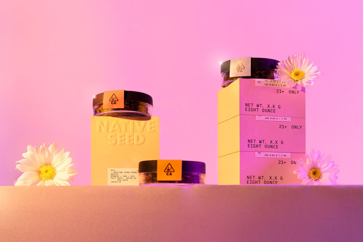 Native Seed By Futura Wants You To Stop Time - DIELINE