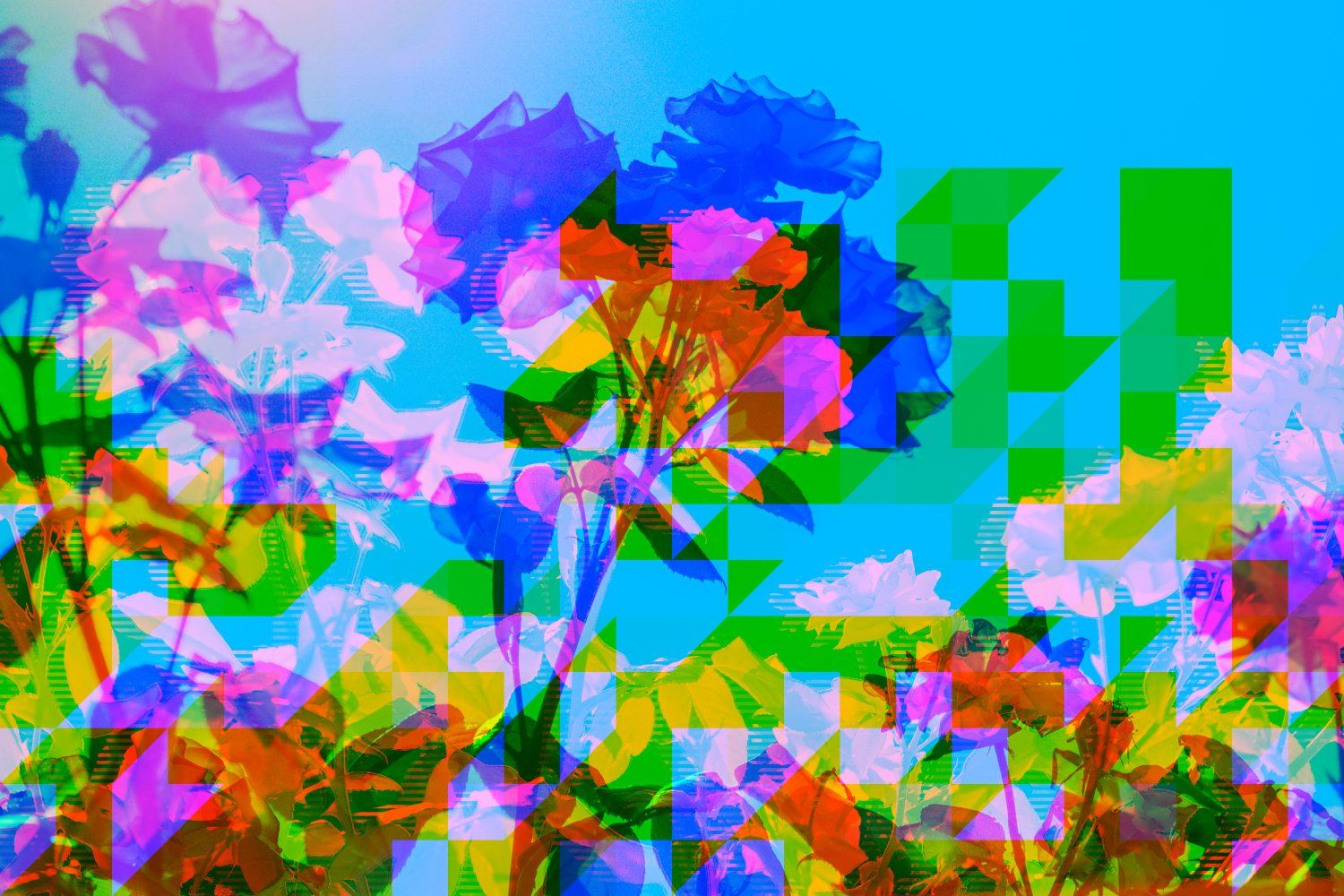 Adobe Releases 2021 Visual & Creative Trends Report - DIELINE