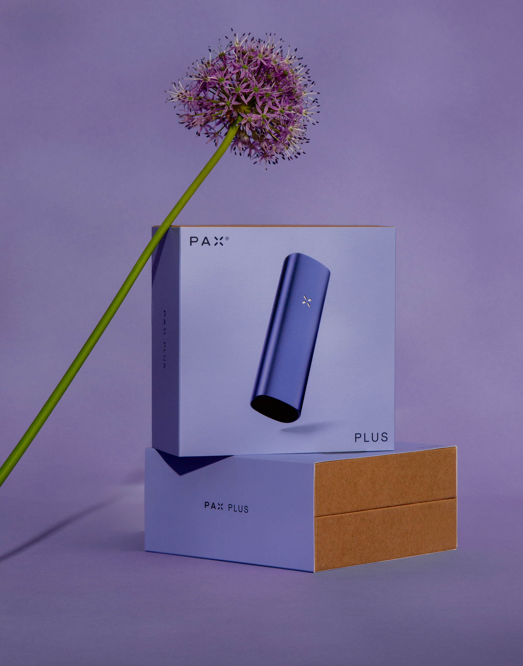 PAX MINI, PAX PLUS And PAX ERA New Vibrant Design Language - DIELINE