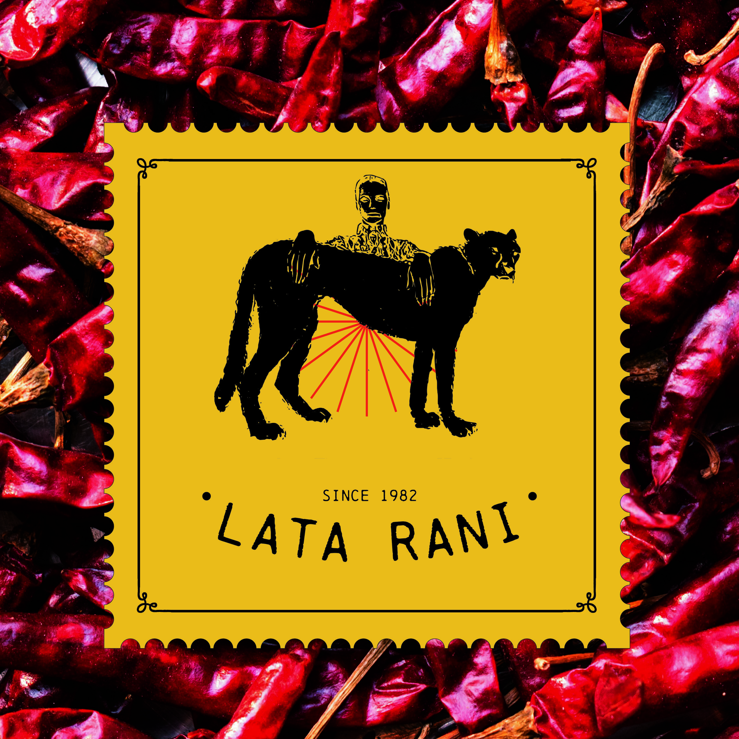 Capturing The Essence Of India’s Vibrant Culture With Lata Rani - DIELINE
