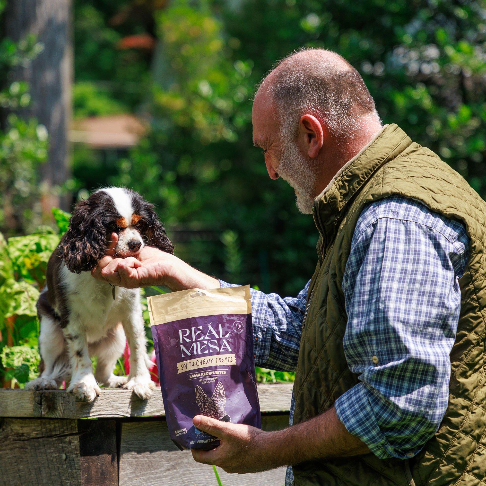 Chef Jose Andres Wants To Feed Your Pets With Real Mesa - DIELINE